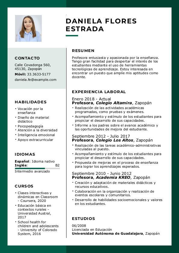 Plantilla De Curriculum Vitae Docente Profesional Plantillas De