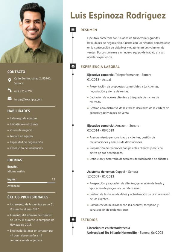 Plantilla de CV de ejecutivo comercial y ejemplos | miCVideal