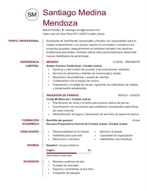 Formato De Currículum Que Destaque Las Habilidades Haz Que Tu