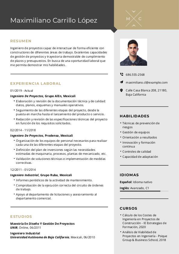 Plantilla de CV de ingeniero de proyectos y ejemplos | miCVideal