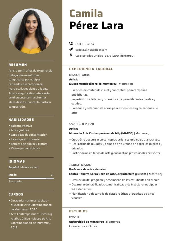 Plantilla de currículum de artista y ejemplos | miCVideal