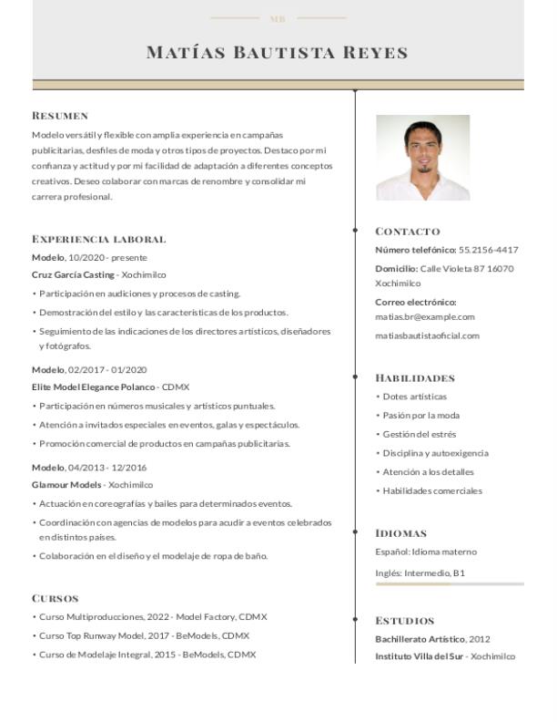 Ejemplo De Curriculum Vitae Con Perfil Profesional Ejemplo De
