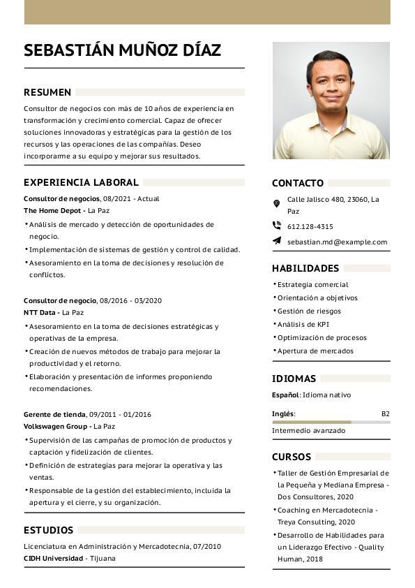 Plantilla de CV de consultor de negocios y ejemplos | miCVideal