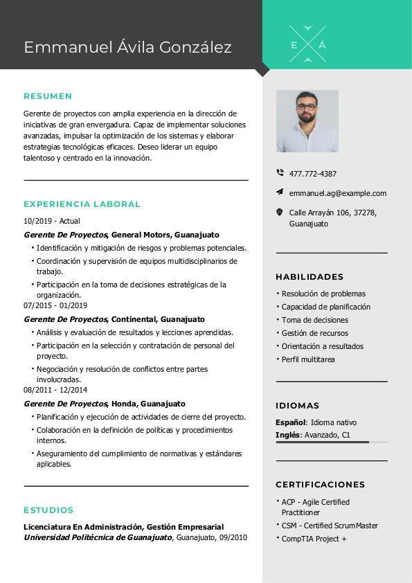 Currículum de gerente de proyectos: ejemplos | miCVideal