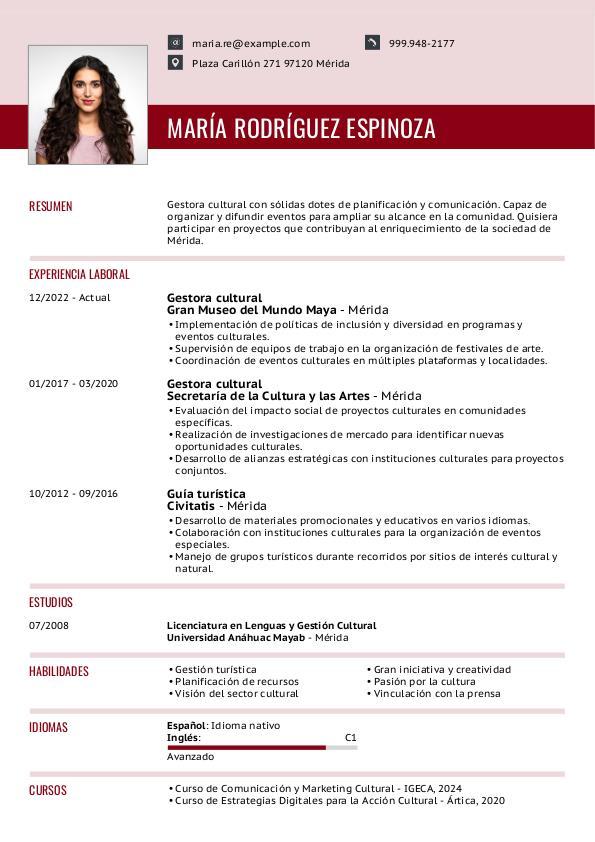 Currículum de gestor cultural: ejemplos y plantillas | Mi CV Ideal